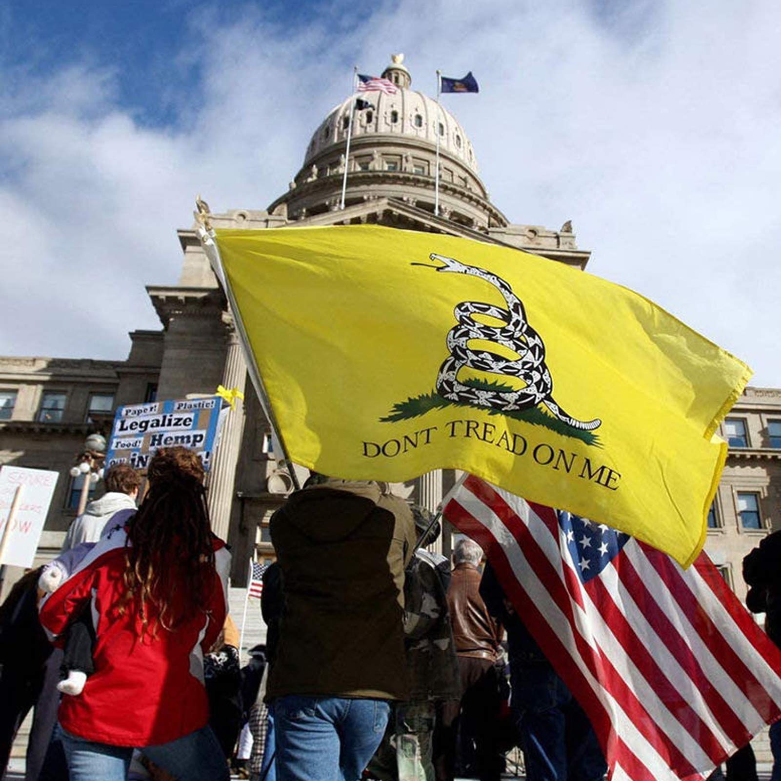 Libertarian Tea Party Flag Edward Glaeser: Tea Party Style