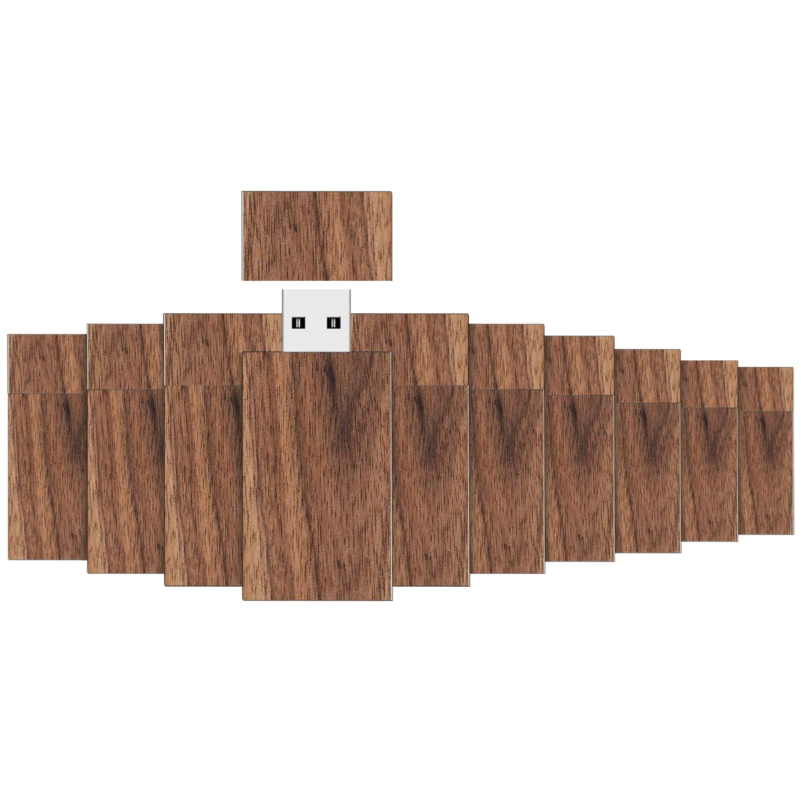 Amazon.com: ABLAZE USB 2GB Flash Drive 10 Pack, Walnut Wood Flash ...