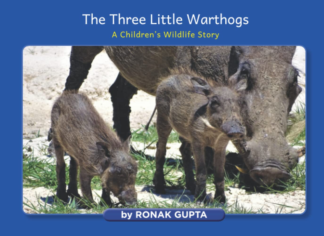 The Three Little Warthogs: A Children's Wildlife Story: Gupta, Ronak ...