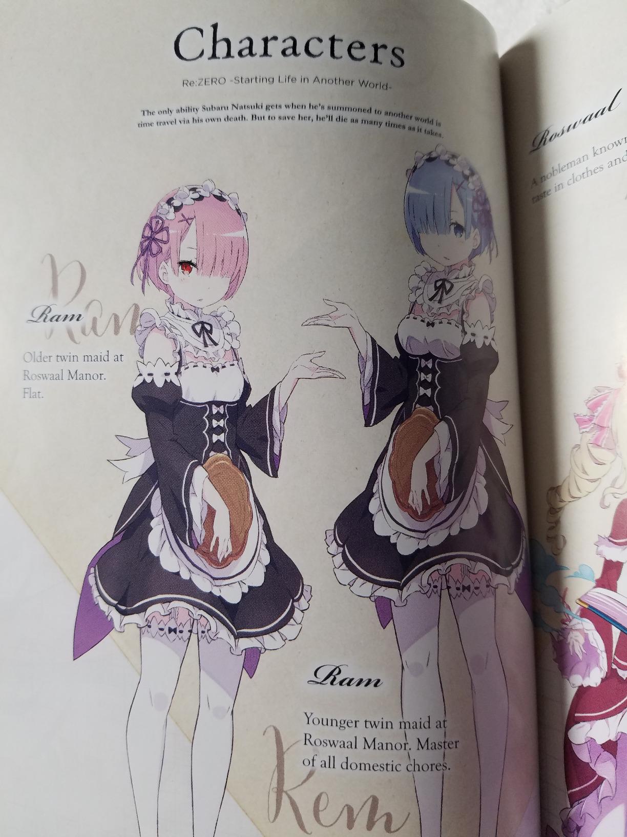 Amazon.com: Re:ZERO, Vol. 2 - light novel (Re:ZERO -Starting Life in ...