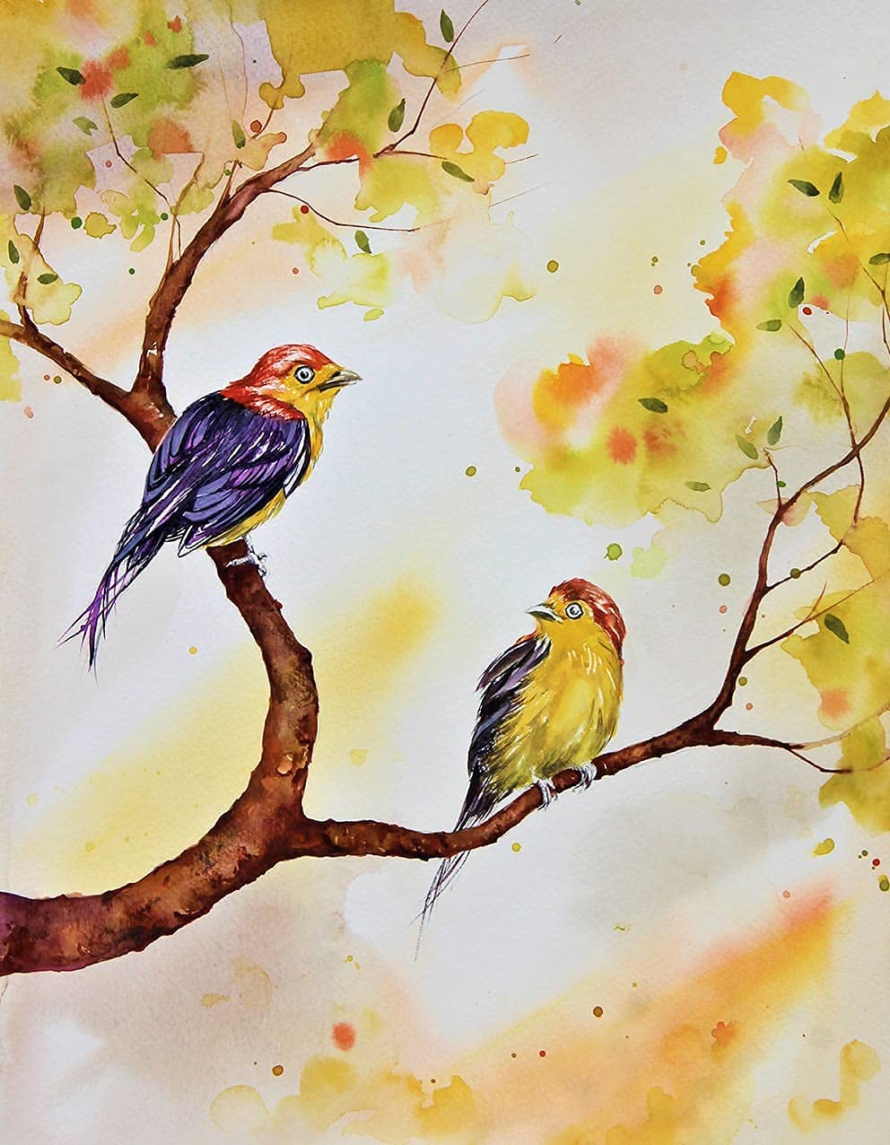 Beautiful Paintings Of Birds