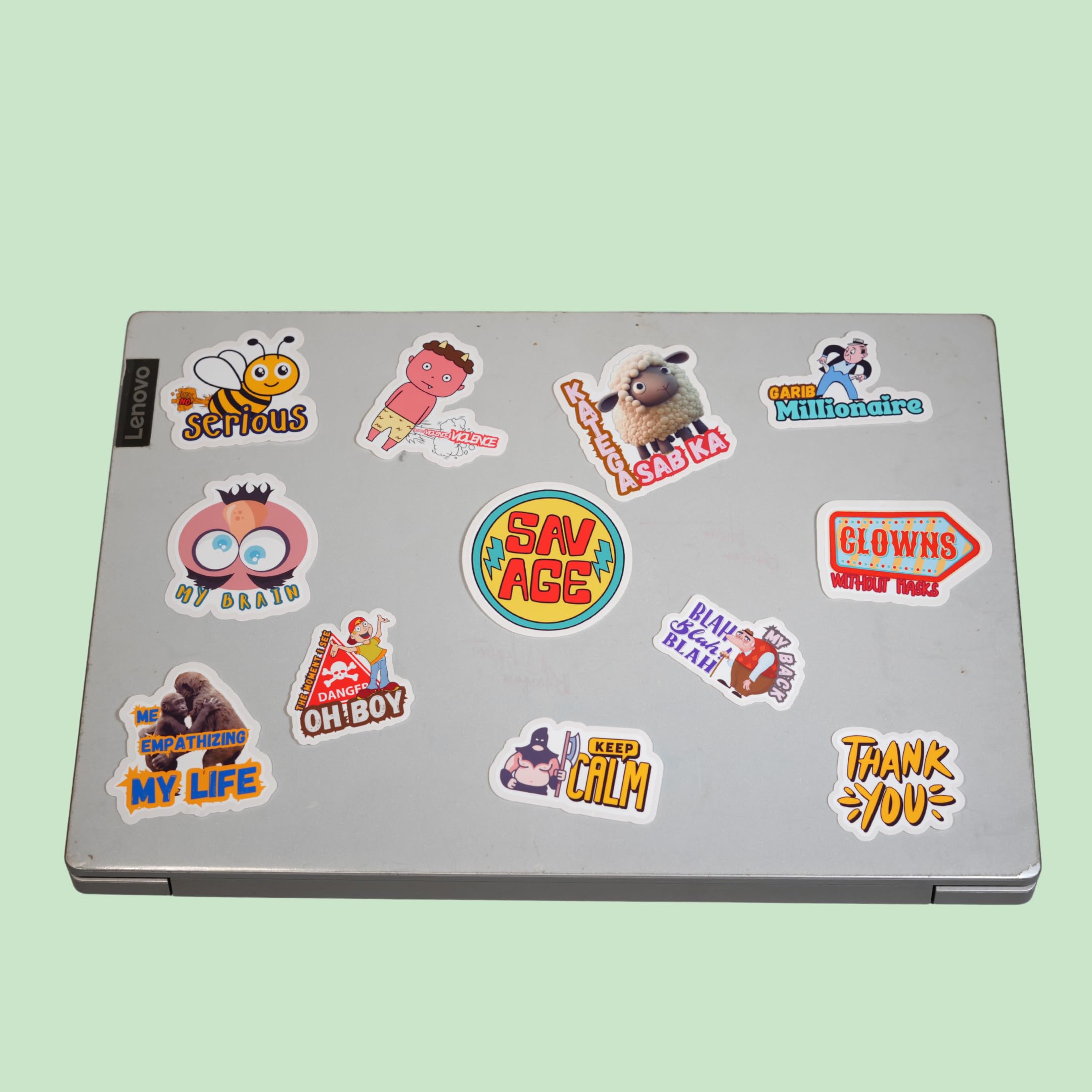iNKAA Pack of 12 Premium Laptop Vinyl Stickers for The Savage Seekers : Amazon.in: Computers ...