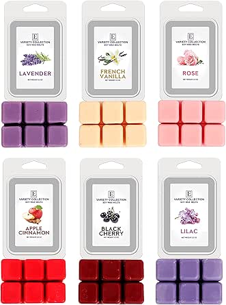 Cubes de cire parfumée pour chauffe-cire parfumée – 100 % cire de soja ...