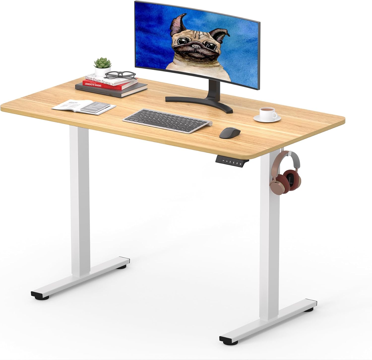 SANODESK Electric Standing Desk ONE PIECE Height Adjustable Desk Sit ...