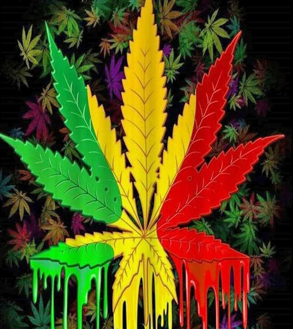 Amazon.com: DIY 5D Diamond Painting Numbering Kit,Reggae Rasta ...