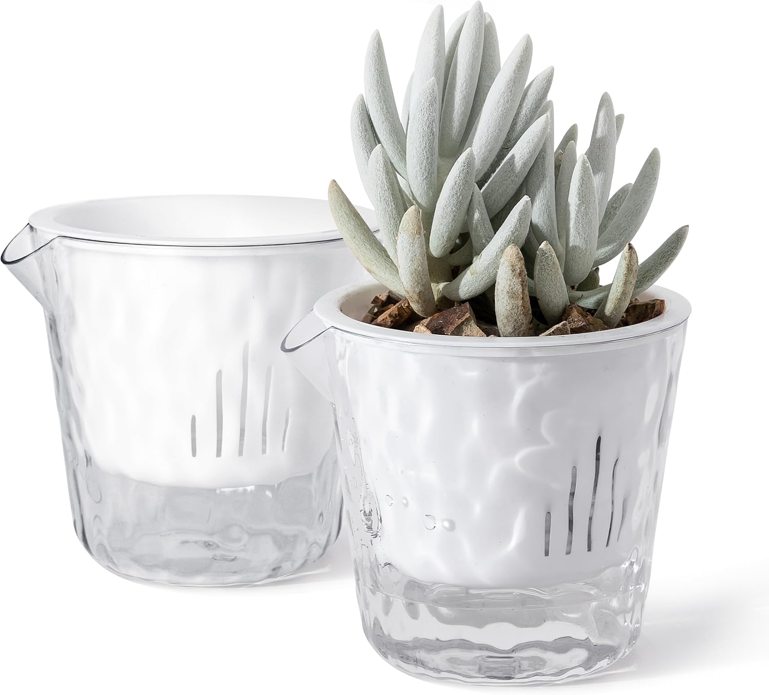Amazon.com: LOKLNEYK Self Watering Planters for Lazy People, Double ...