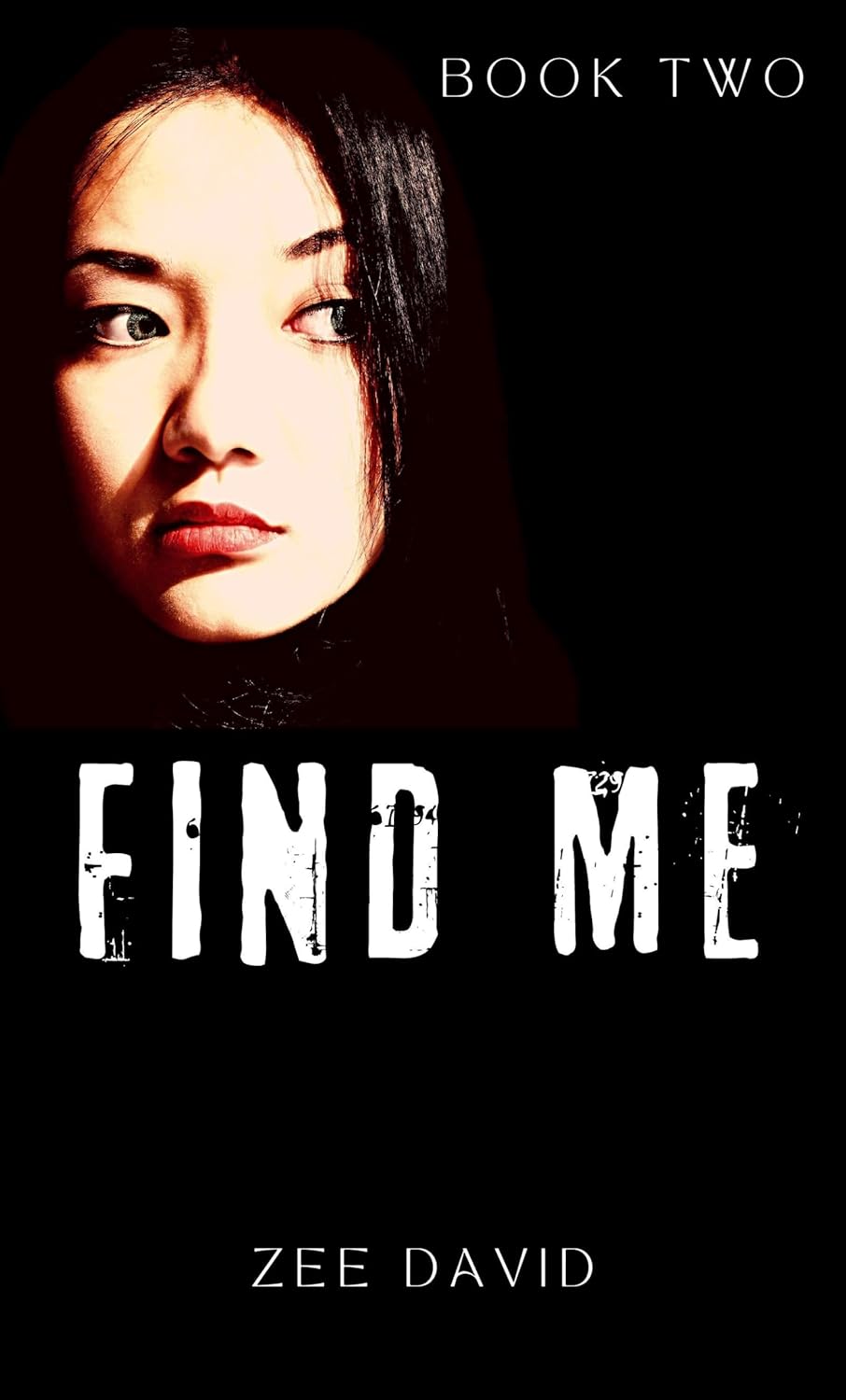 Find Me (Zane Alba Mystery Series Book 2) - Kindle edition by David ...