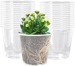 Amazon.com: 5 Inch Clear Nursery Pots PP Seedling Pots for Plants 30Pcs ...