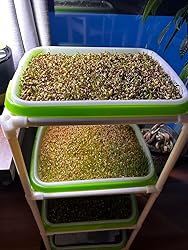 Amazon.com : 4 Layers Sprout Trays with Extra Strength Plastic Shelf ...