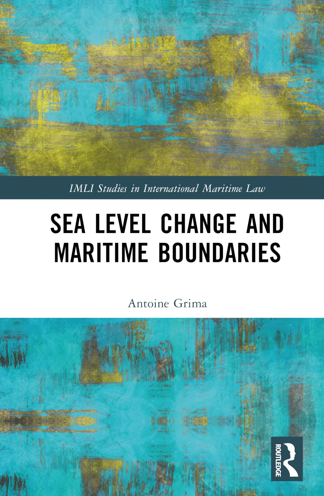 Sea Level Change and Maritime Boundaries (IMLI Studies in International ...