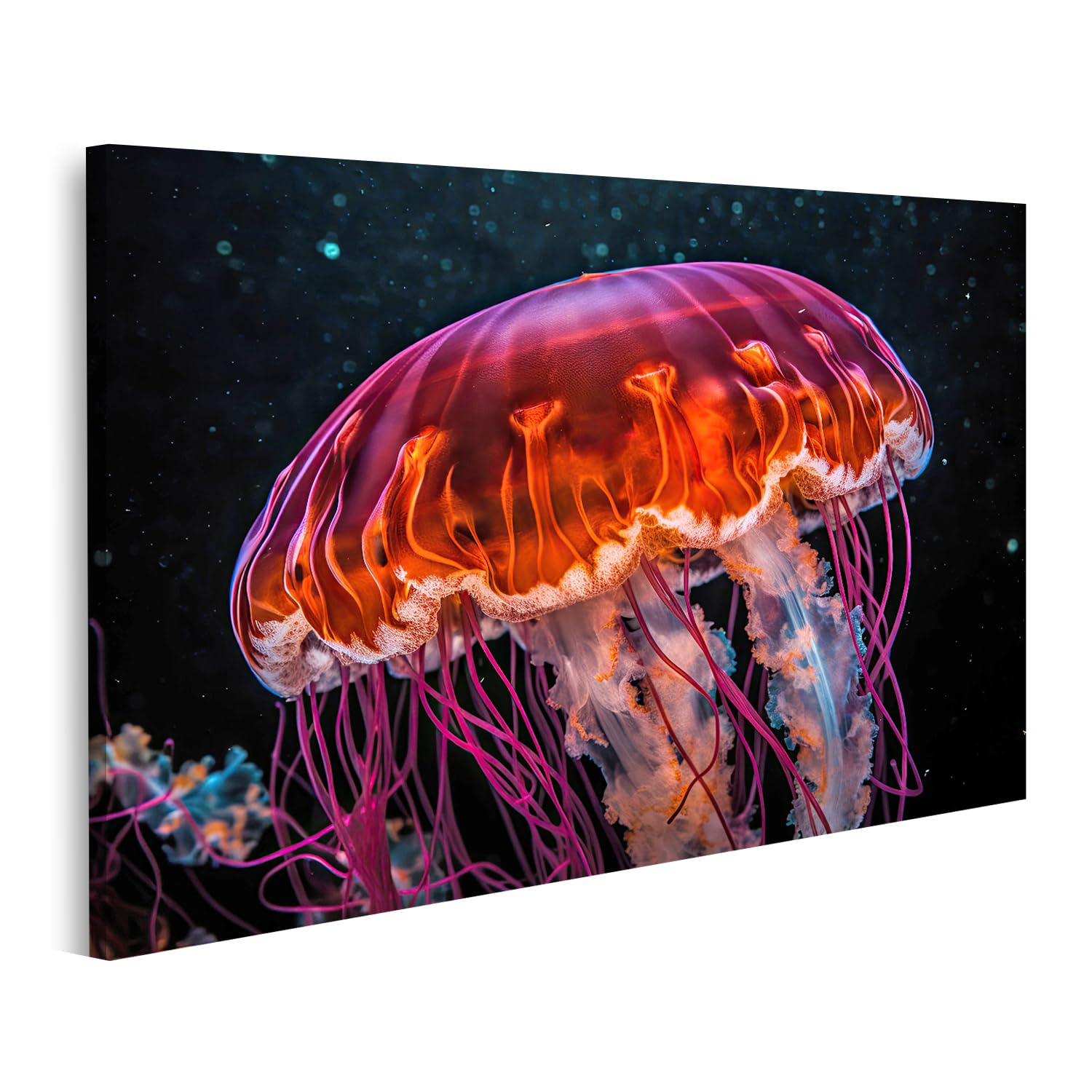 Qualle Bilder Foto Qualle Mit Fisch Foto & Bild | Tiere, Wildlife,