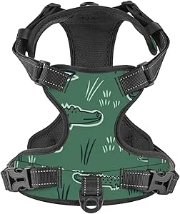 Amazon.com : No Pull Dog Harness for Small Dogs Easy Walk Dog Vest ...