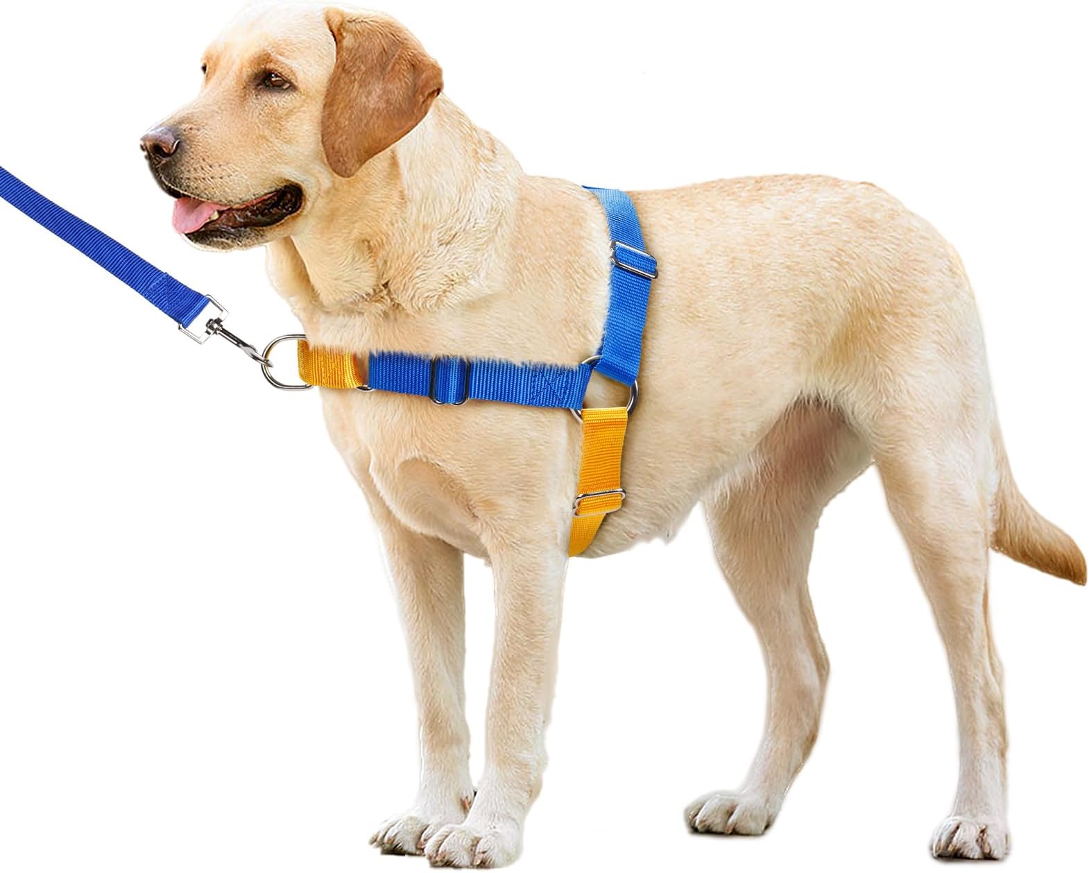 Amazon.com : Wonder Walker, X-Large, Red : Pet Supplies