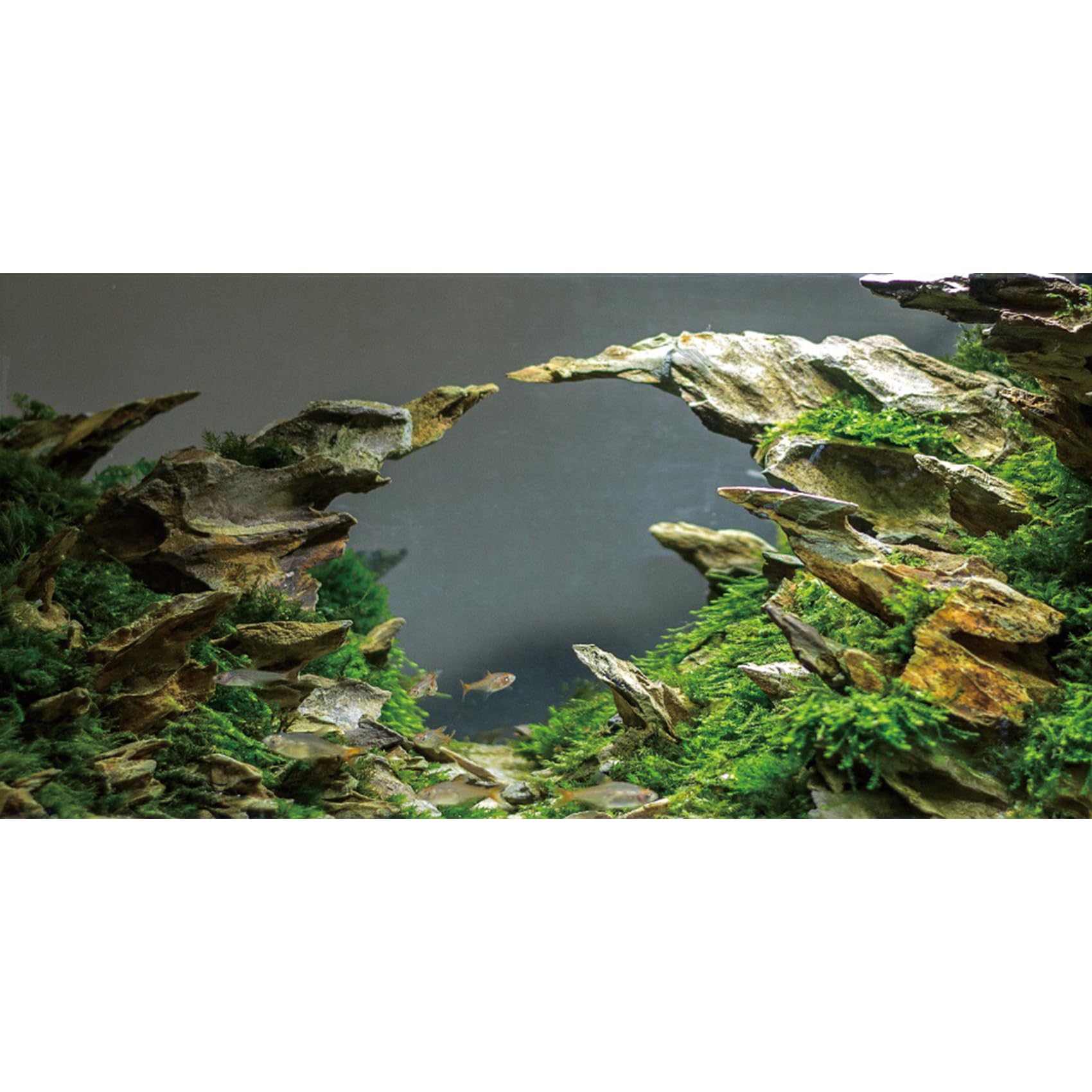 Amazon.com : AWERT 48x18 inches Stone Aquarium Background Aquarium ...