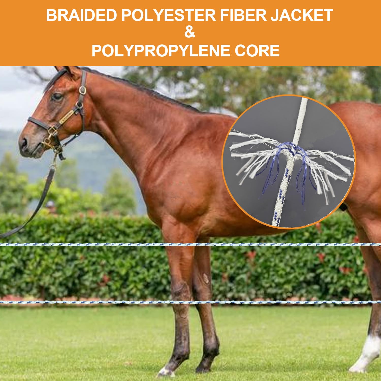 Horse Safe Braid Fencing Amazon.com : ElectroBraid PBRC1000C2 EB 1000