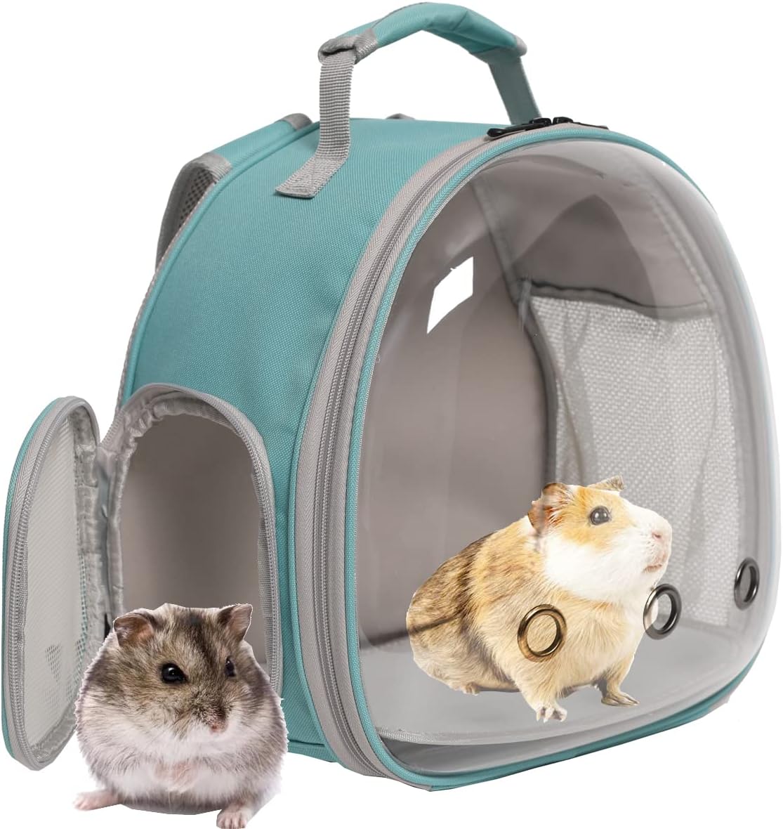 Amazon.com : Guinea Pig Backpack Carrier, Bearded Dragon Carrier ...