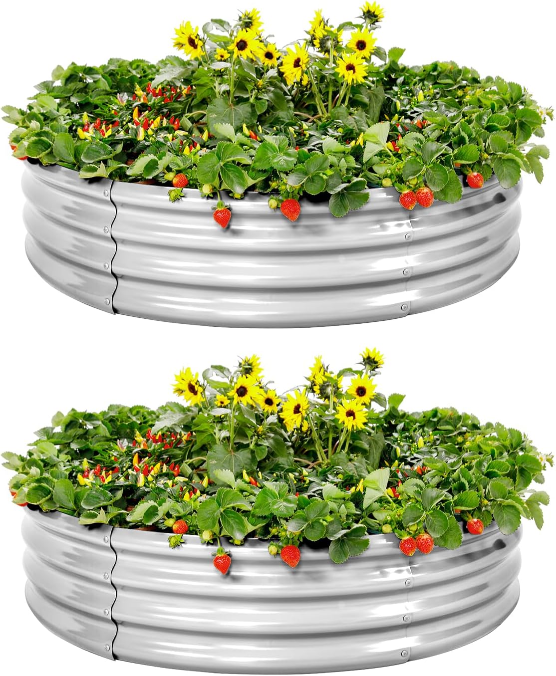 Amazon.com: Land Guard Galvanized Raised Garden Bed 2Pcs, Planter ...