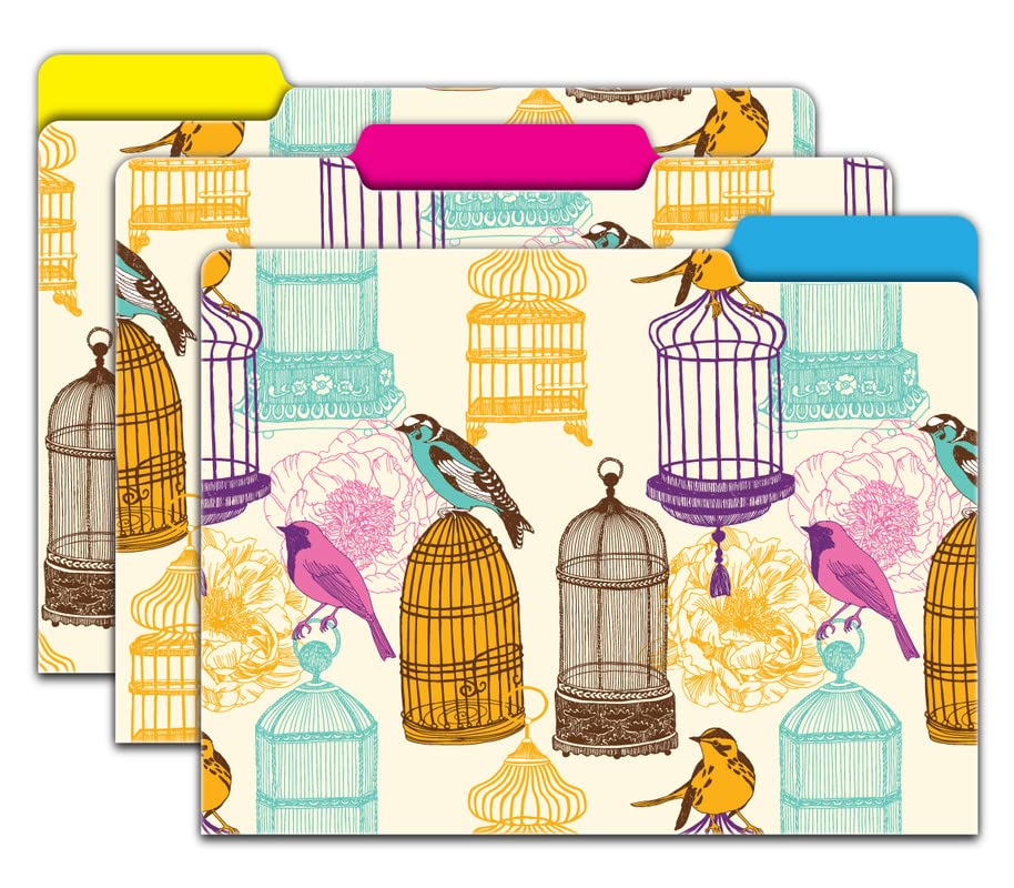 Nourish A4 Size Tab Folder - Set of 3 Folders -Model-3 - Price History