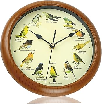 Amazon.com: Eioflia Bird Clock 10'' Round Bird Clock That Sings on Hour ...