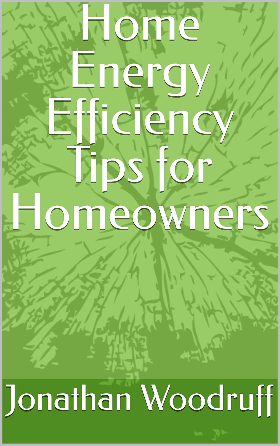 Home Energy Efficiency Tips for Homeowners - Kindle edition by Woodruff ...
