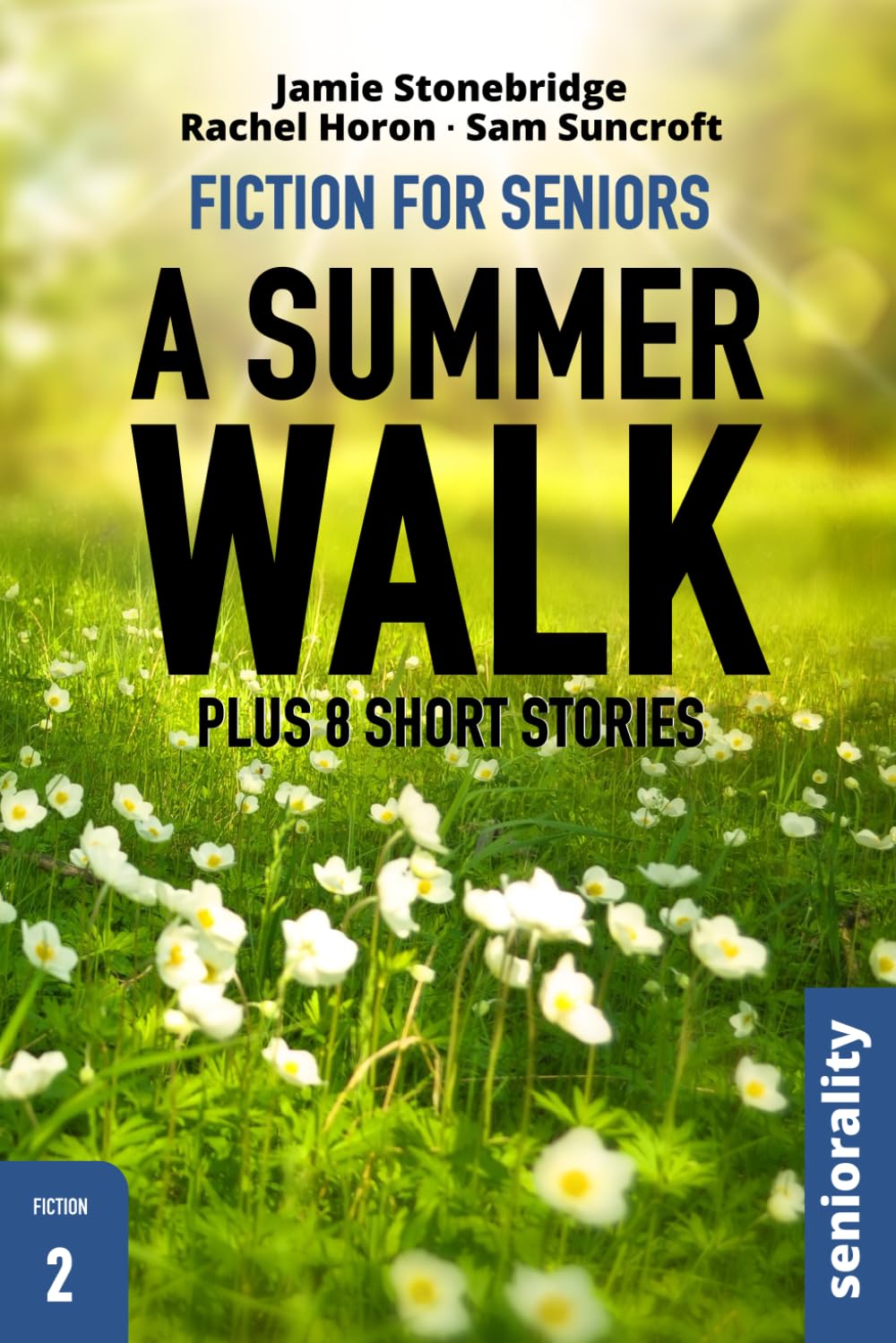 A Summer Walk: Large Print easy to read story for Seniors with Dementia ...