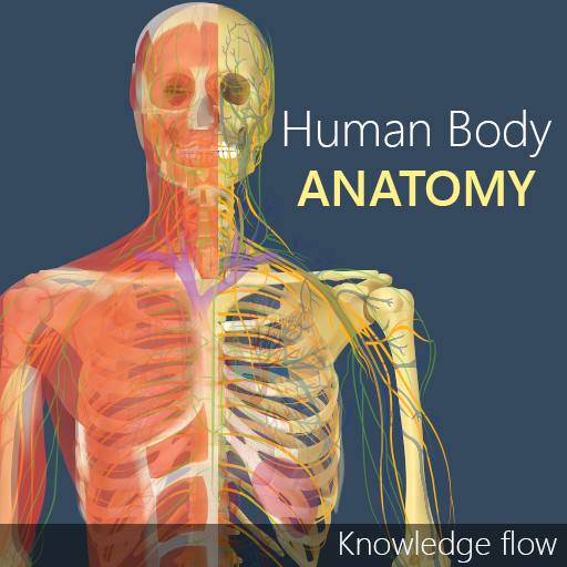 Human Body Anatomy - App on Amazon Appstore