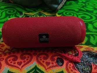 Zebronics Zeb-Action Portable 10W BT Speaker with TWS Function, USB,mSD ...