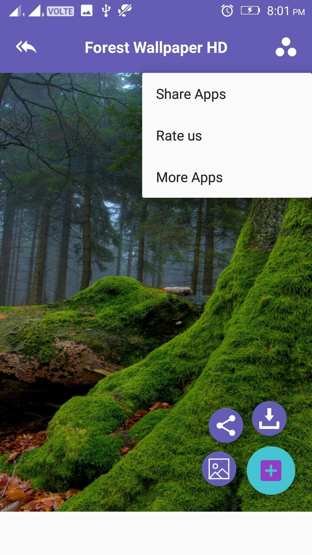 Forest 4K Wallpaper - App on Amazon Appstore