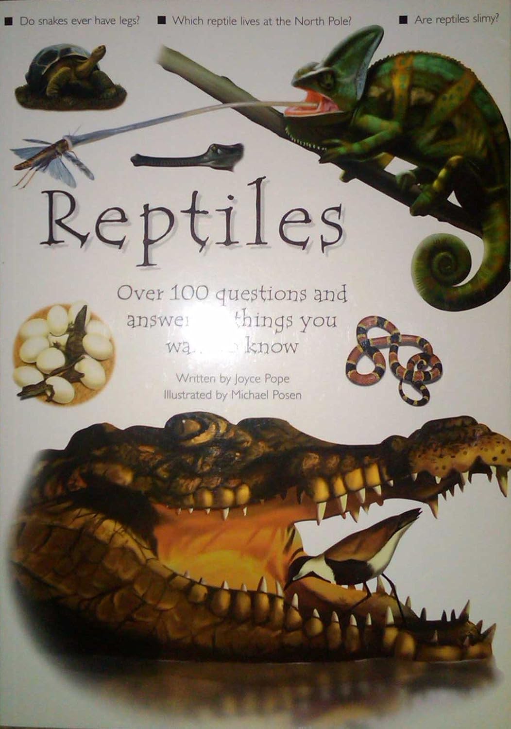 Reptiles (Dempsey Parr): n/a: 9781840847796: Amazon.com: Books