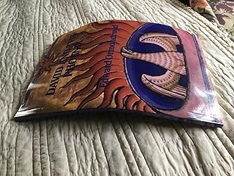 David and the Phoenix: Ormondroyd, Edward, Raysor, Joan: 9781930900585 ...