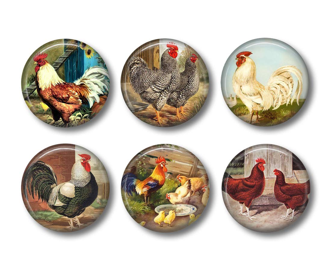 Amazon.com: Chicken and Rooster Magnets - Set of Six 1.5 Inch Magnets ...