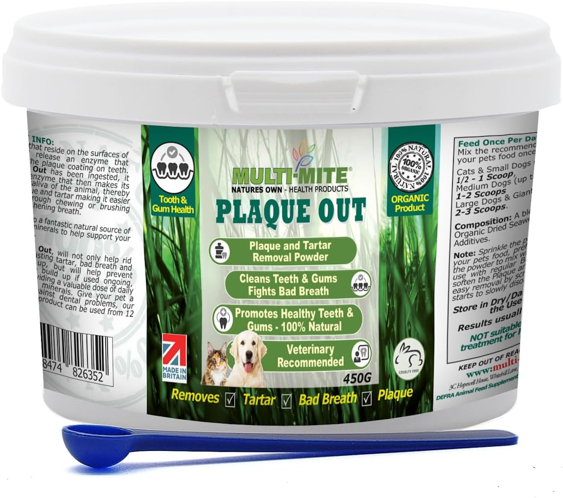 PLAQUE OUT 450G Tartar and Plaque Off Remover, 100% Natural & Organic ...