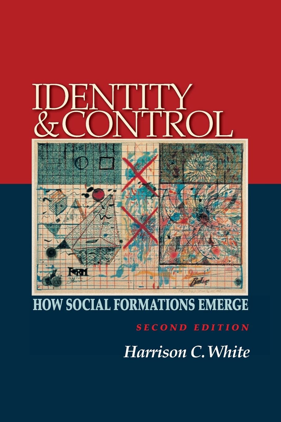 Amazon.com: Identity and Control: How Social Formations Emerge - Second ...