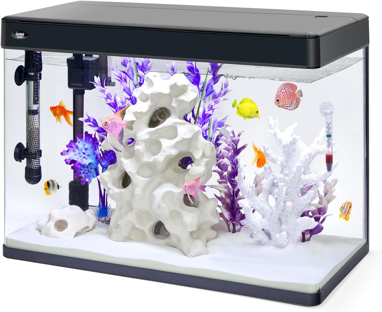 Amazon.com : JumblPets Premium Fish Aquarium Kit, 21 Gallon, Complete ...
