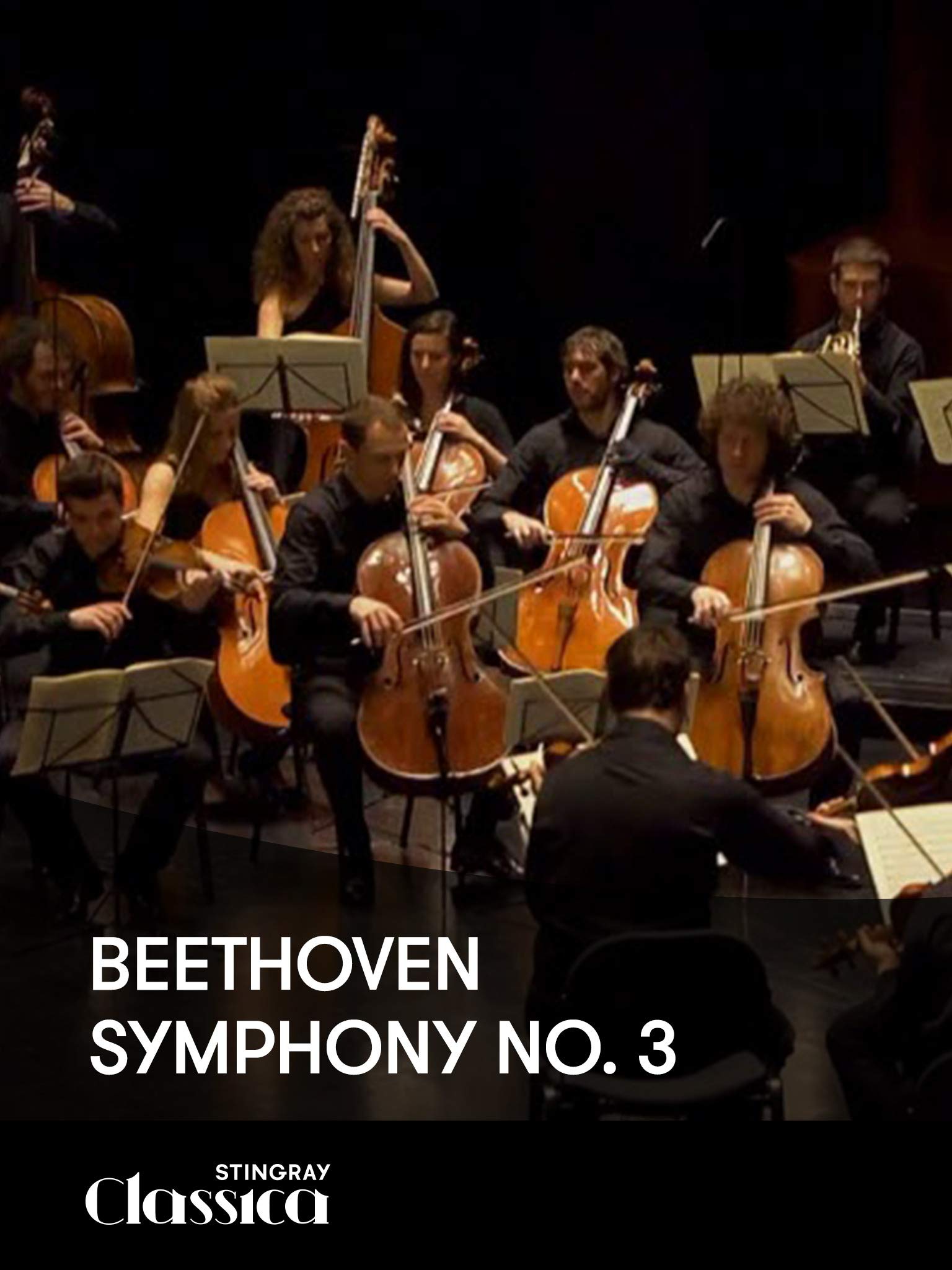 Amazon.com: Beethoven - Symphony No. 3 : Les Dissonances, David Grimal ...