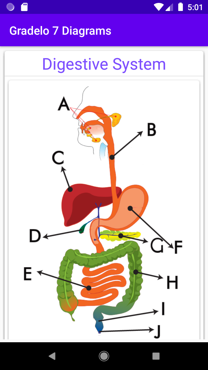 Simple Biology Quiz and Exercises - App on Amazon Appstore