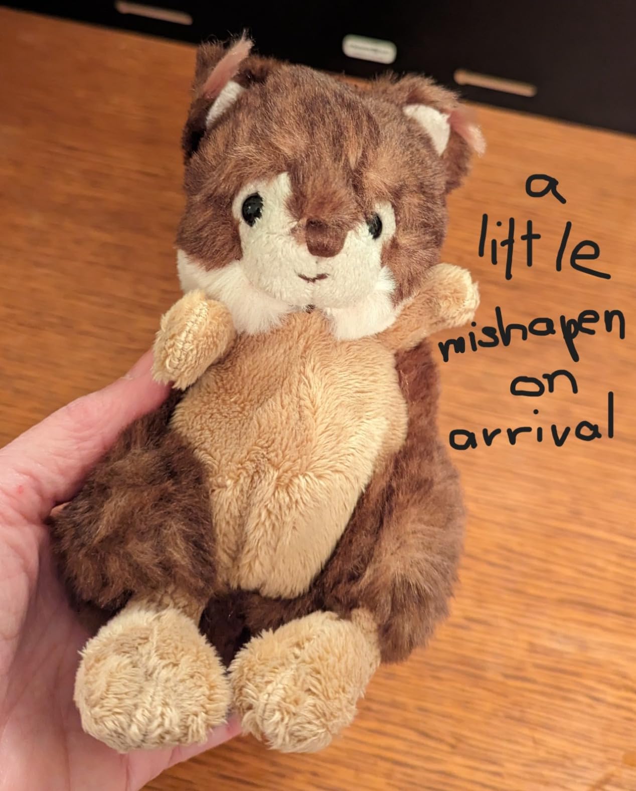 $9/mo - Finance Bukowski Bears Antonio The Polar Bear - Teddy Bear Baby ...