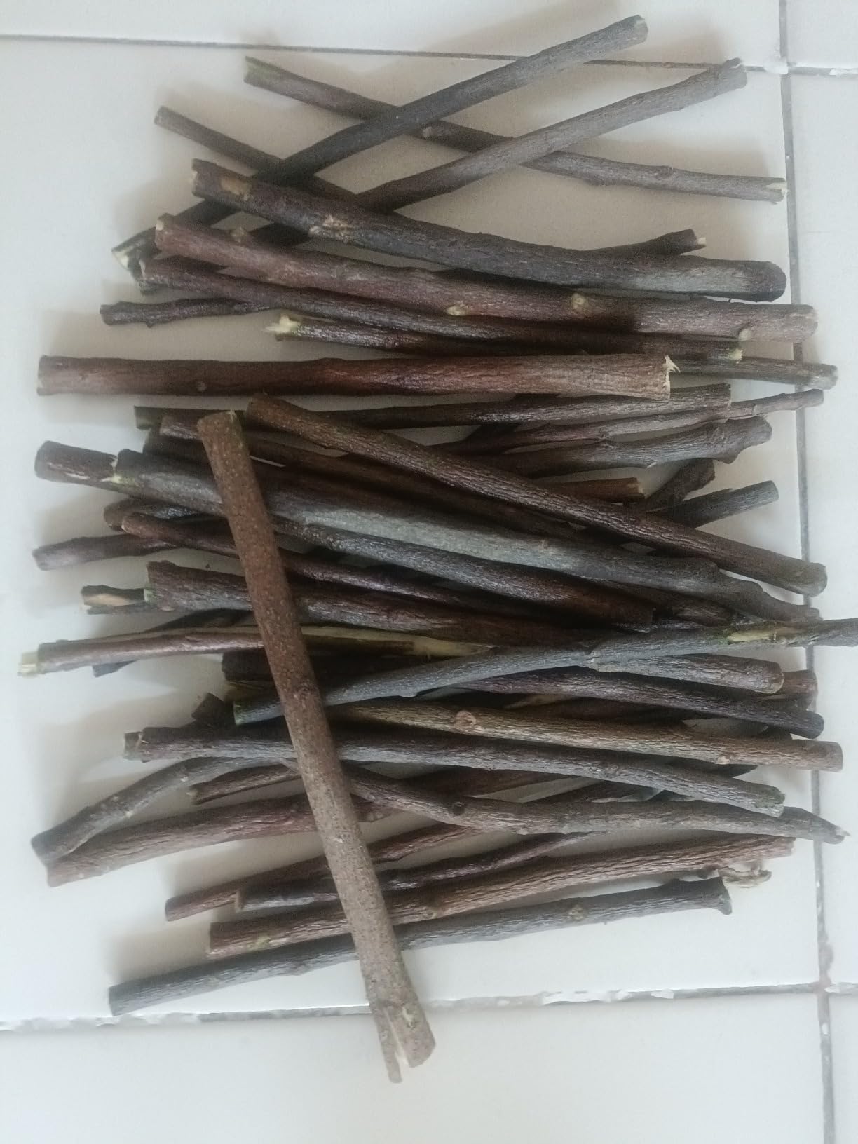 Buy Adult Veena Pack Of 40 Pieces Ayurvedic Natural Organic Neem Datun ...