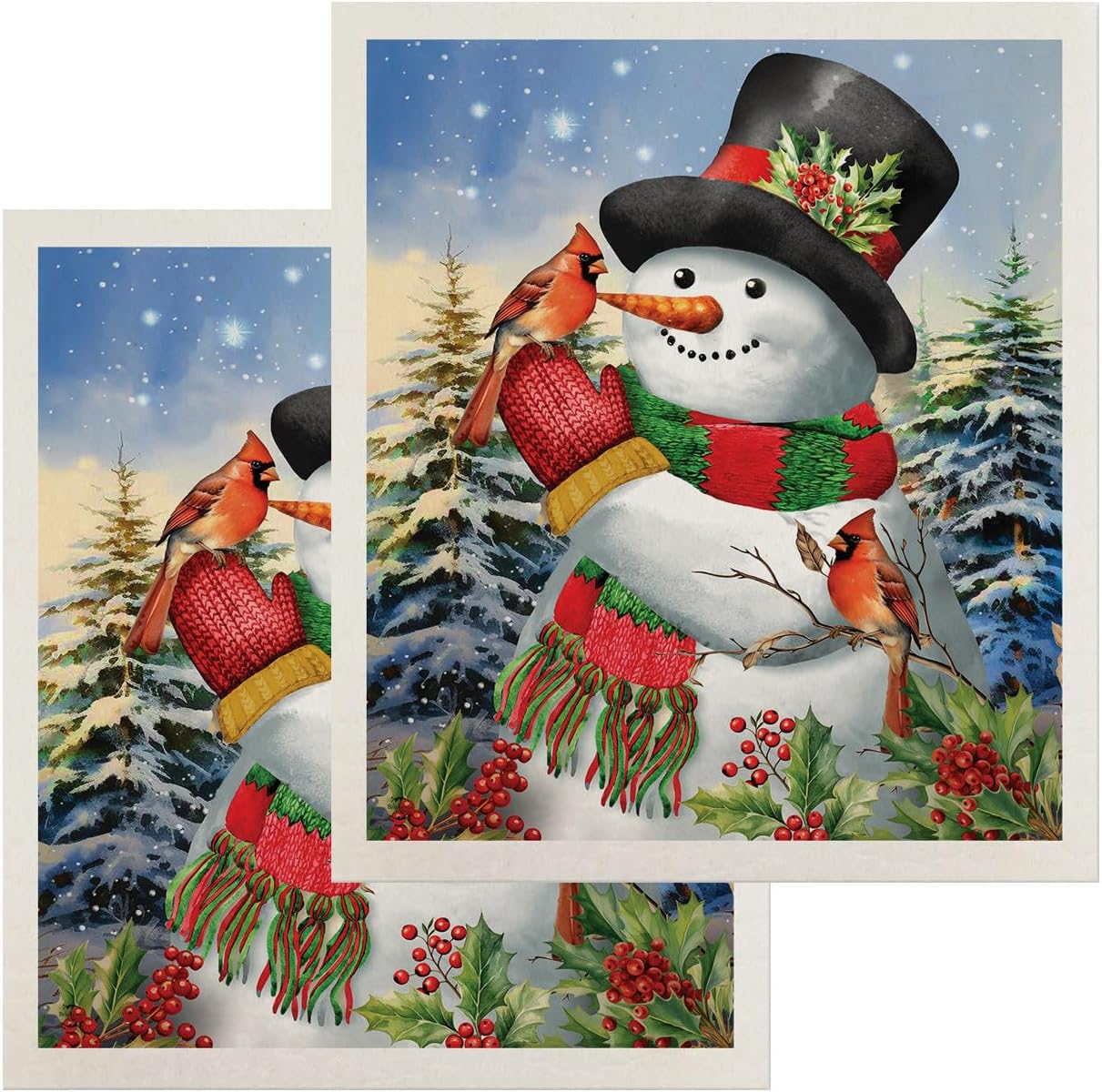 Amazon.com: Briarwood Lane Winter Friends Snowman Swedish Dishcloth (2 ...