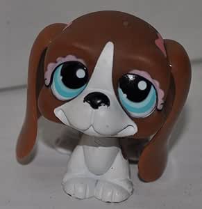 Amazon.com: Bassett Hound #1205 (Brown, Blue Eyes, White Muzzle, pink ...