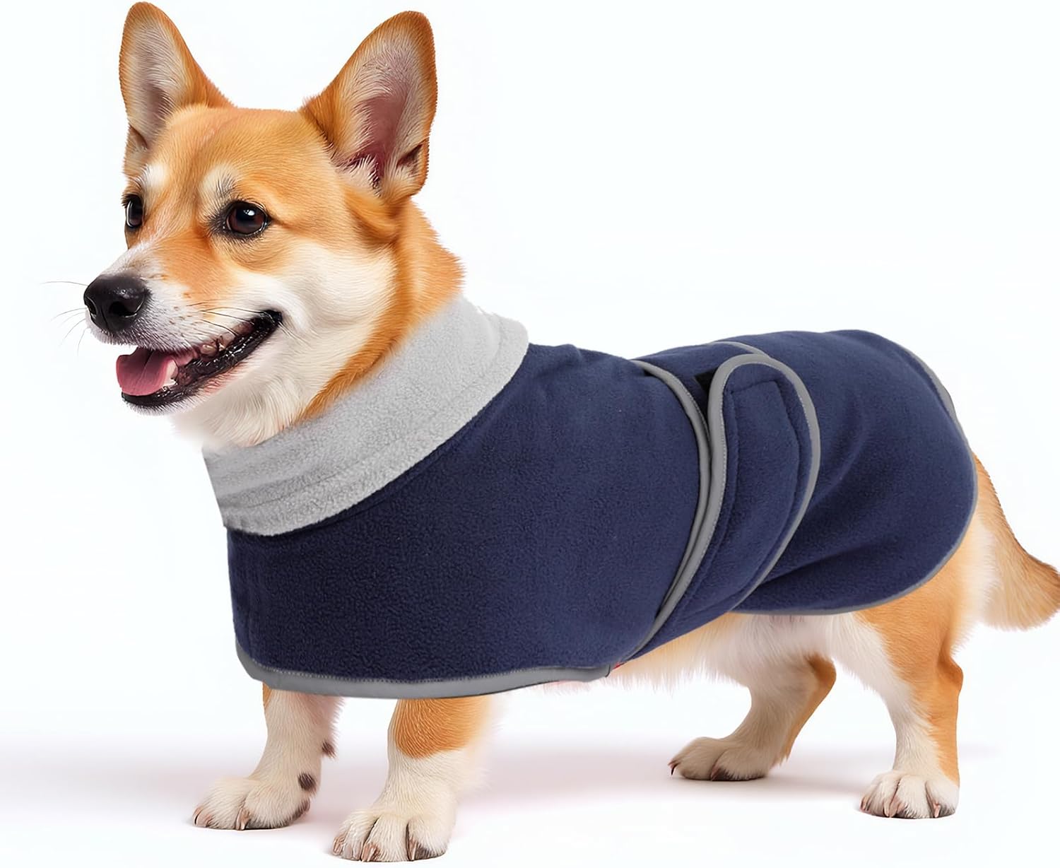 Amazon.com : Geyecete Corgi Sweater for Dogs Corgi Coat for Dogs Winter ...
