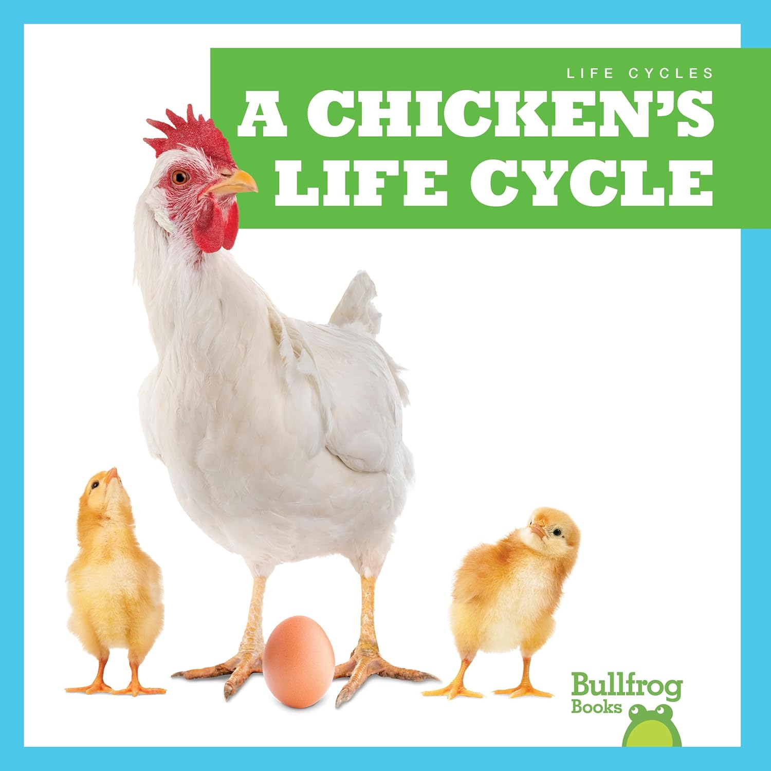 Amazon.com: A Chicken's Life Cycle (Life Cycles): 9781636908267: Rice ...