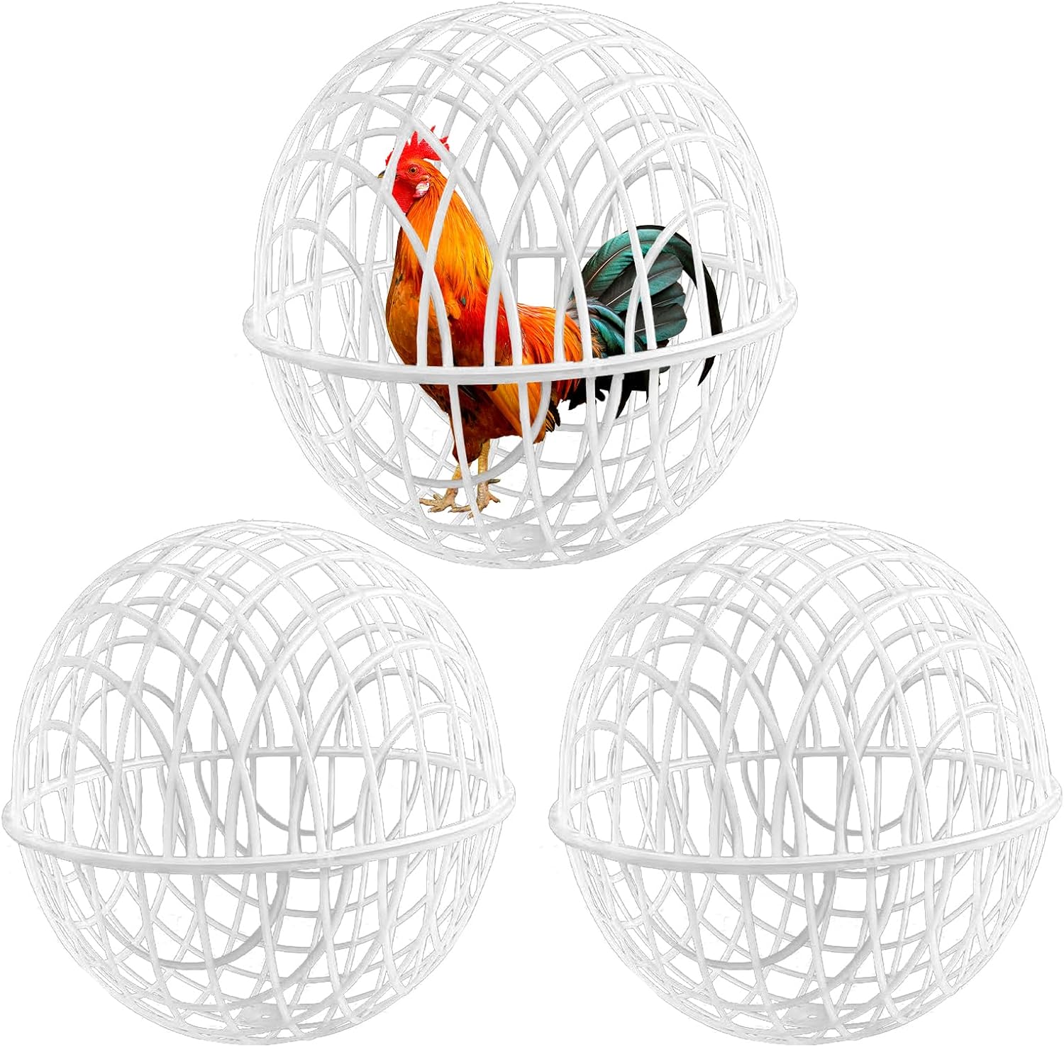Chicken Ball Cage –3pc Secure Poultry Cage | Portable Circular Chicken ...