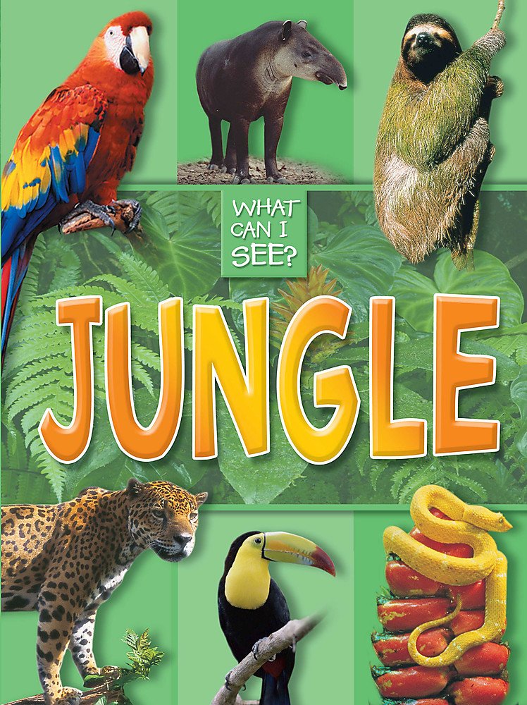 What Can I See?: Jungle : NA: Amazon.in: Books