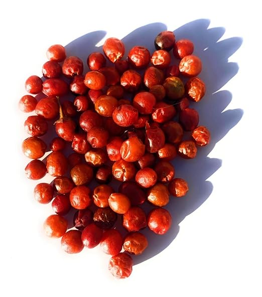 Chiltepin Pepper Guide: Heat, Flavor, Uses - PepperScale