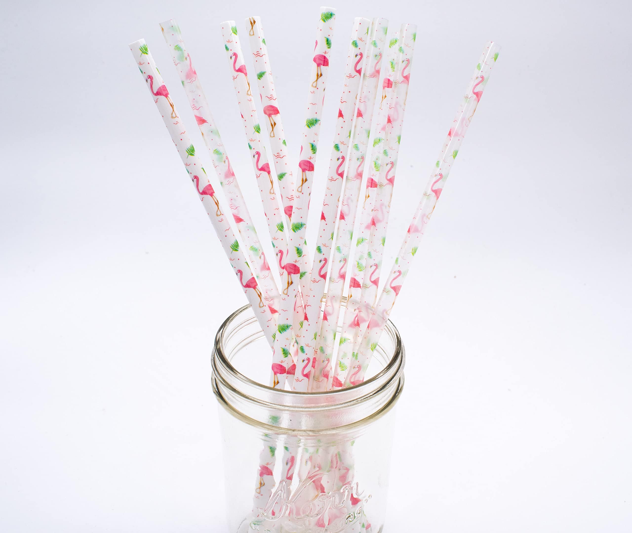 Amazon.com | Aztec Sky, Reusable Plastic Straws, 10.25 inches, BPA Free ...