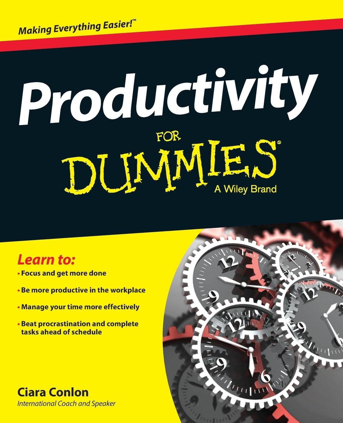 Productivity For Dummies: Conlon, Ciara: 9781119099529: Amazon.com: Books