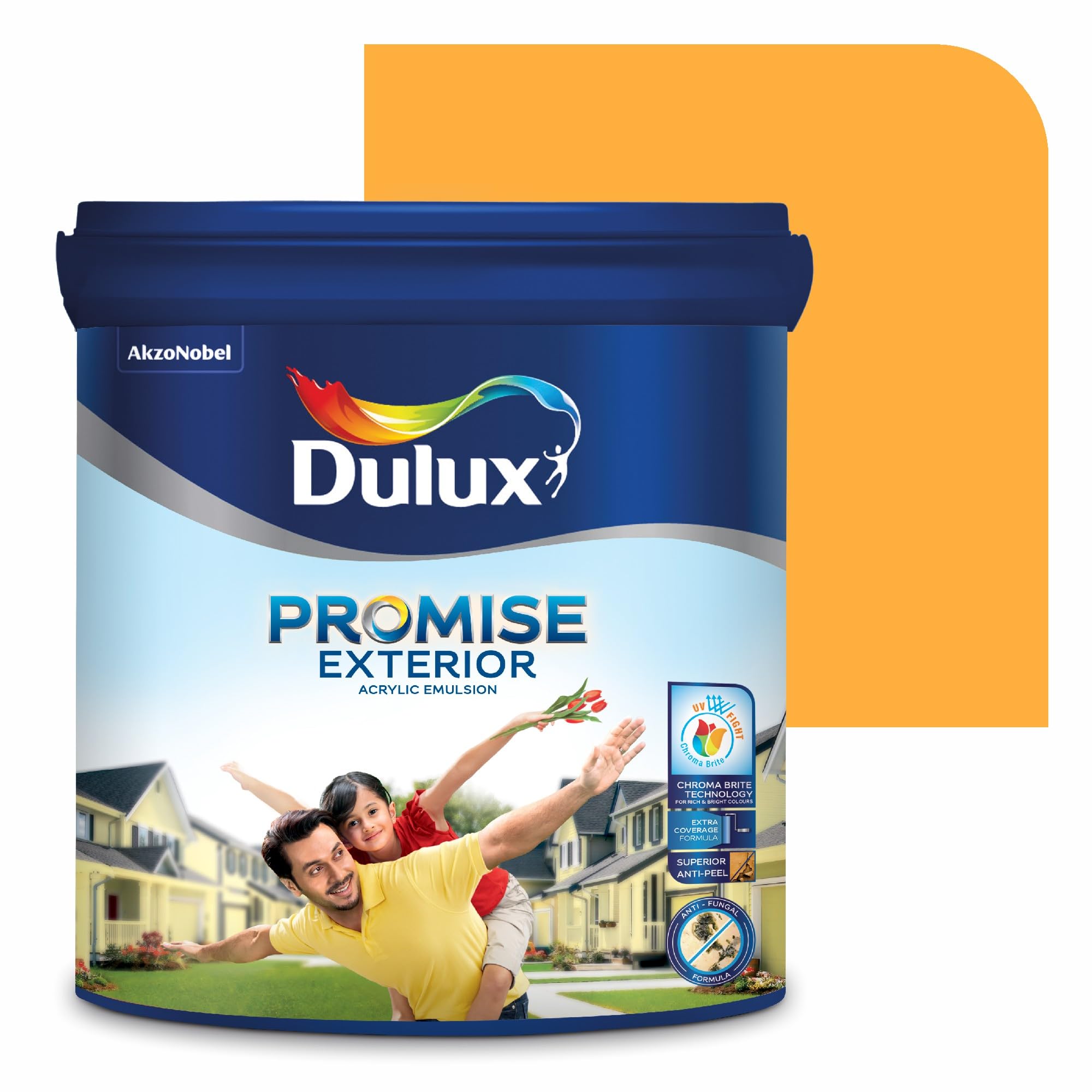 Dulux Promise Exterior Emulsion Paint (1L, Harvest Flame) | Ideal for ...