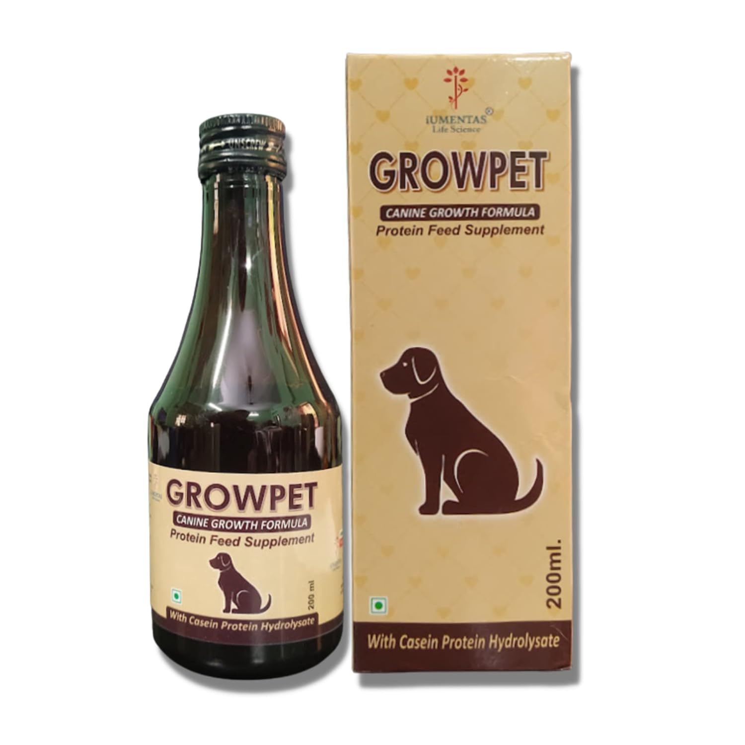 Is Protein Powder Ok For Dogs