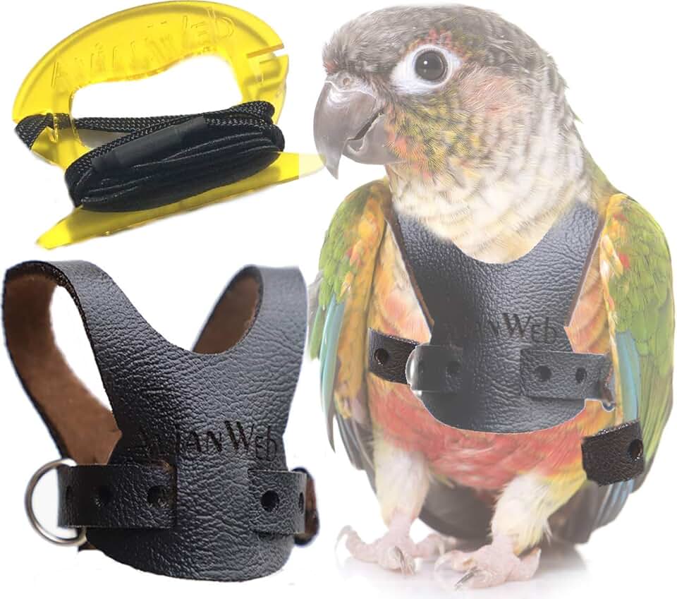 Amazon.com: bird harness for conure